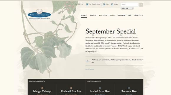 24 Excellent Examples of Responsive Web Design - Web Design Ledger