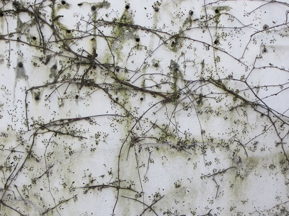 23 Free Textures for your Projects - Web Design Ledger