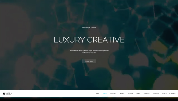 20 Amazing WordPress Themes with Video Backgrounds