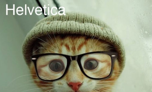 If Fonts Were Cats – Web Design Ledger
