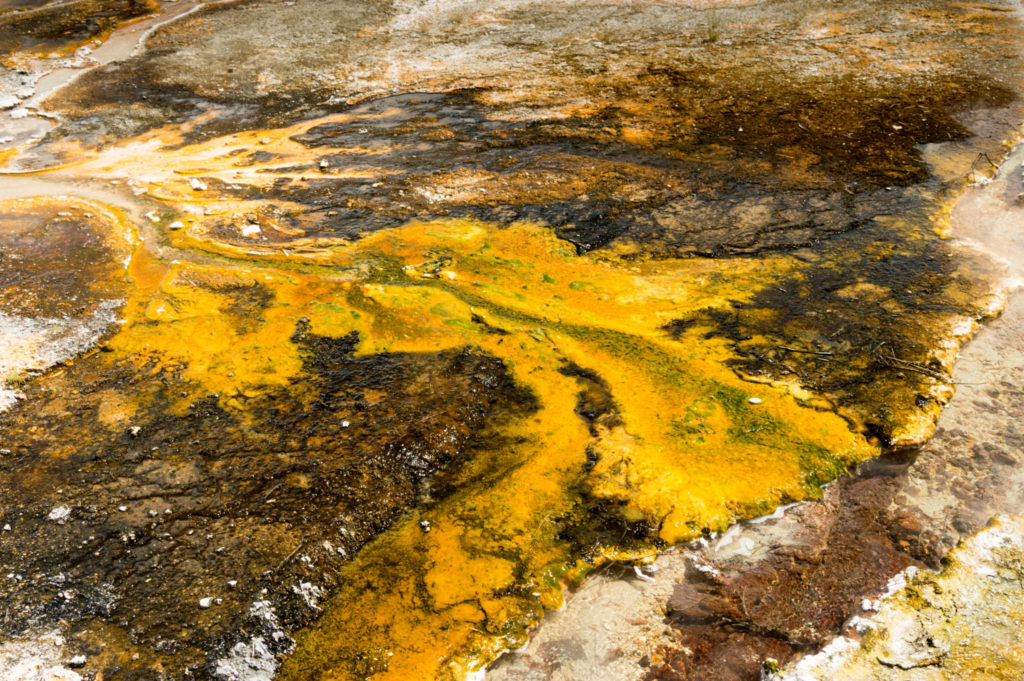 In Praise of the Peculiar: How and Why to Use Surreal Images – Web ...