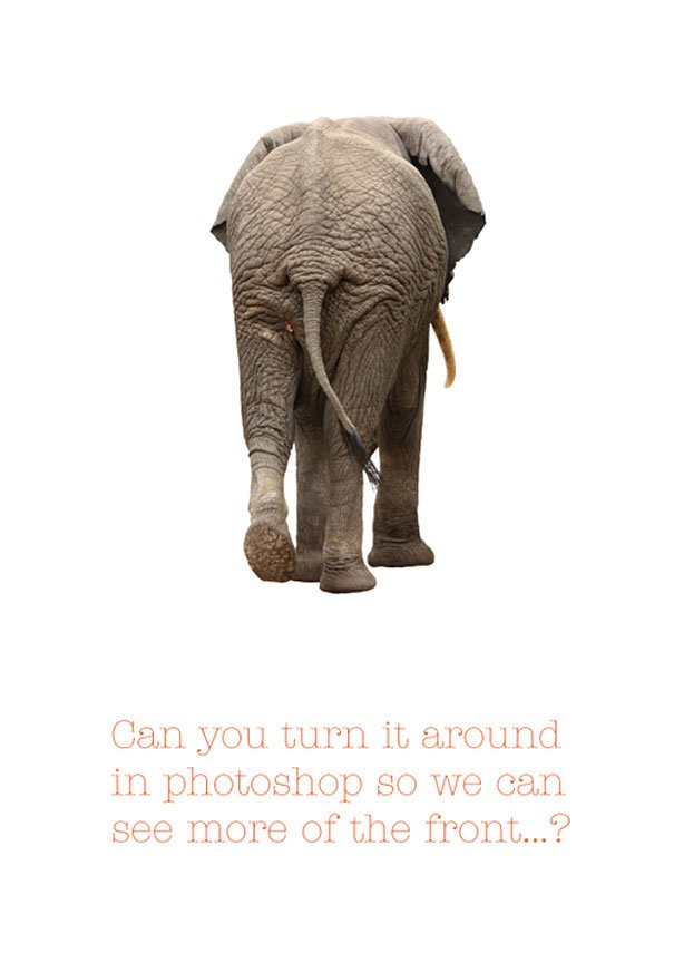 35 Design Jokes That Will Make You Laugh – Web Design Ledger